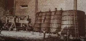 La Historia del Vino: desde sus orígenes a la actualidad